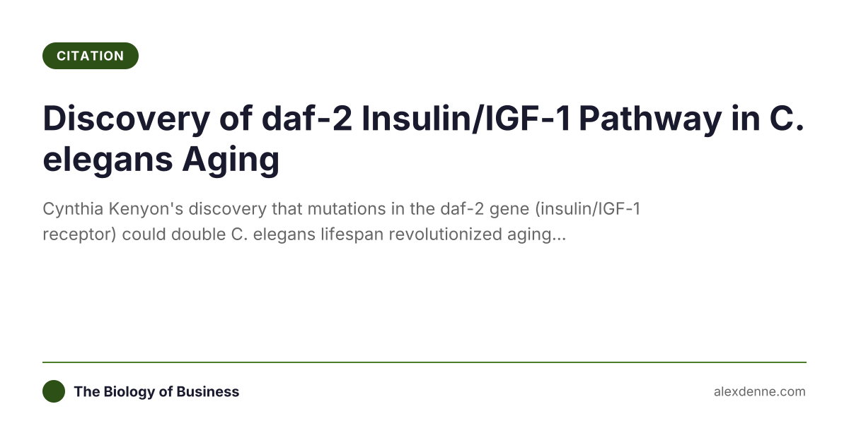 Discovery of daf-2 Insulin/IGF-1 Pathway in... | Alex Denne