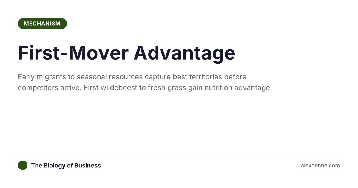 First-Mover Advantage (Mechanism) | The Biology of Business