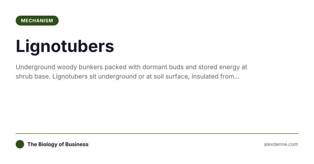 Lignotubers (Mechanism) | The Biology of Business