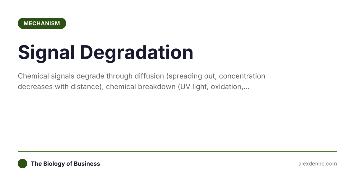 Signal Degradation (Mechanism) | The Biology of Business