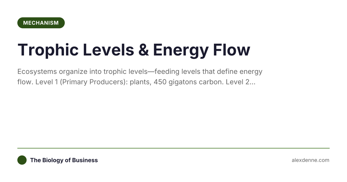Trophic Levels & Energy Flow... | The Biology of Business
