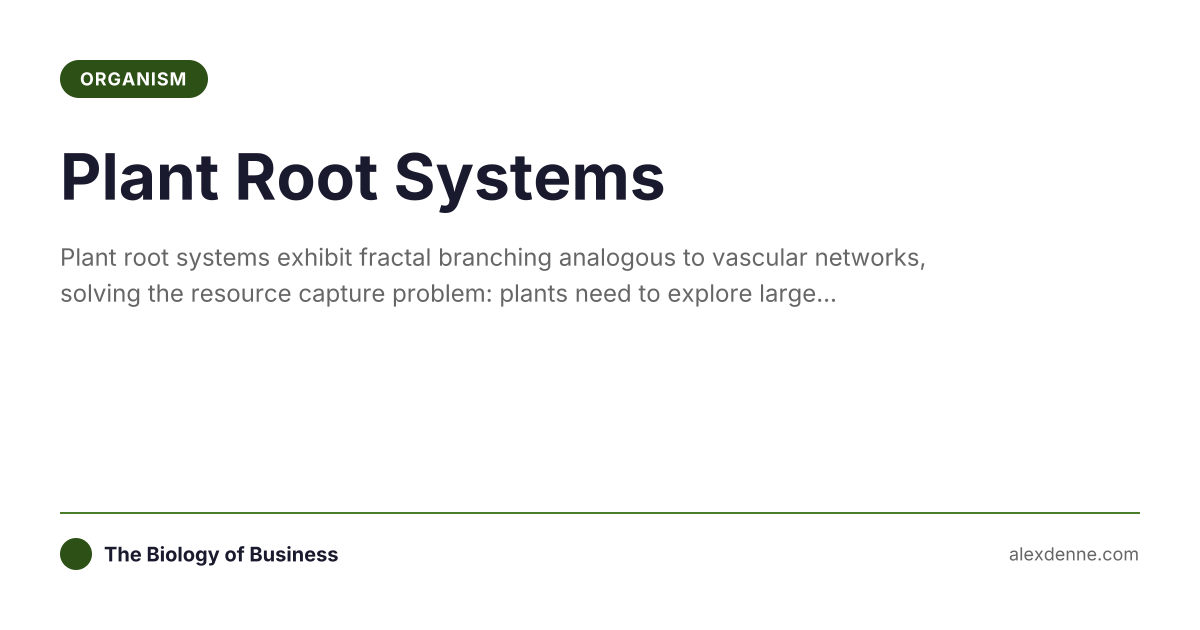 Plant Root Systems | The Biology of Business